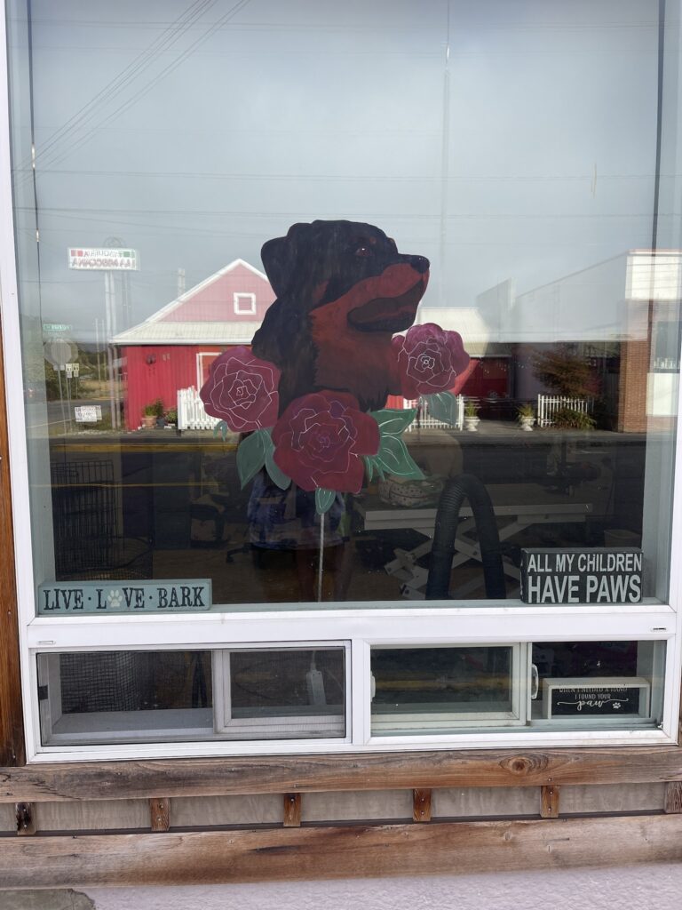 Barks N Bubbles Dog Grooming | Local Vet Clinics