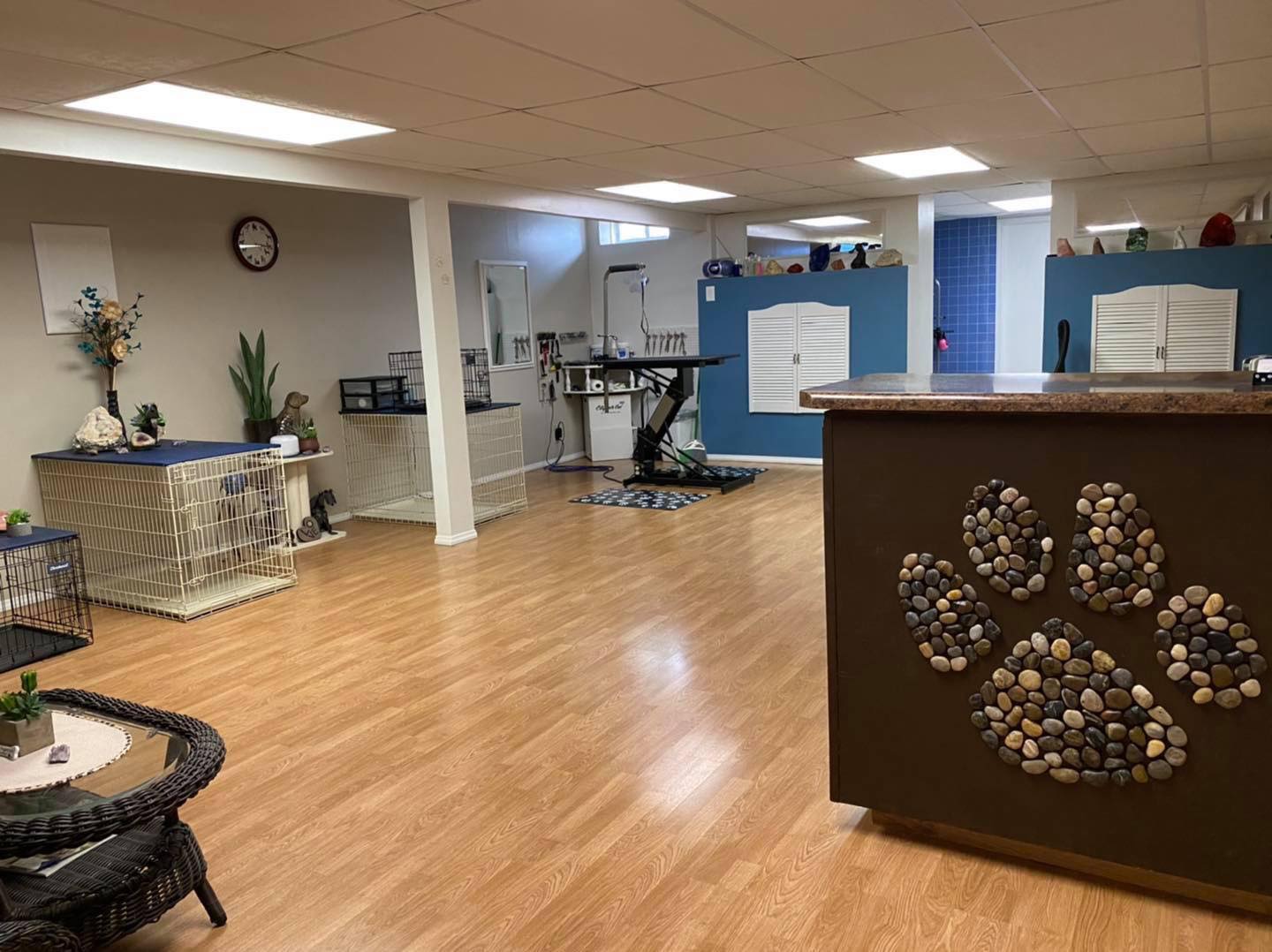 Angie's Pet Grooming | Local Vet Clinics