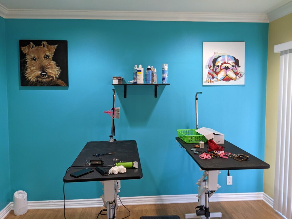 Doggy Land Grooming | Local Vet Clinics