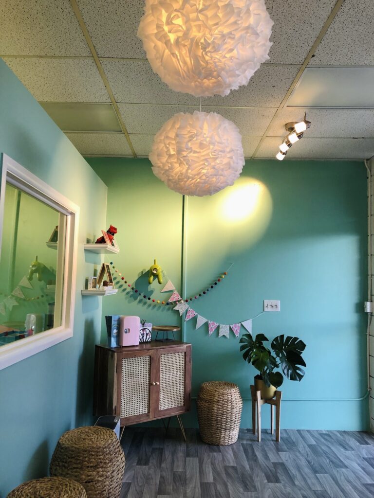 J grooming studio | Local Vet Clinics