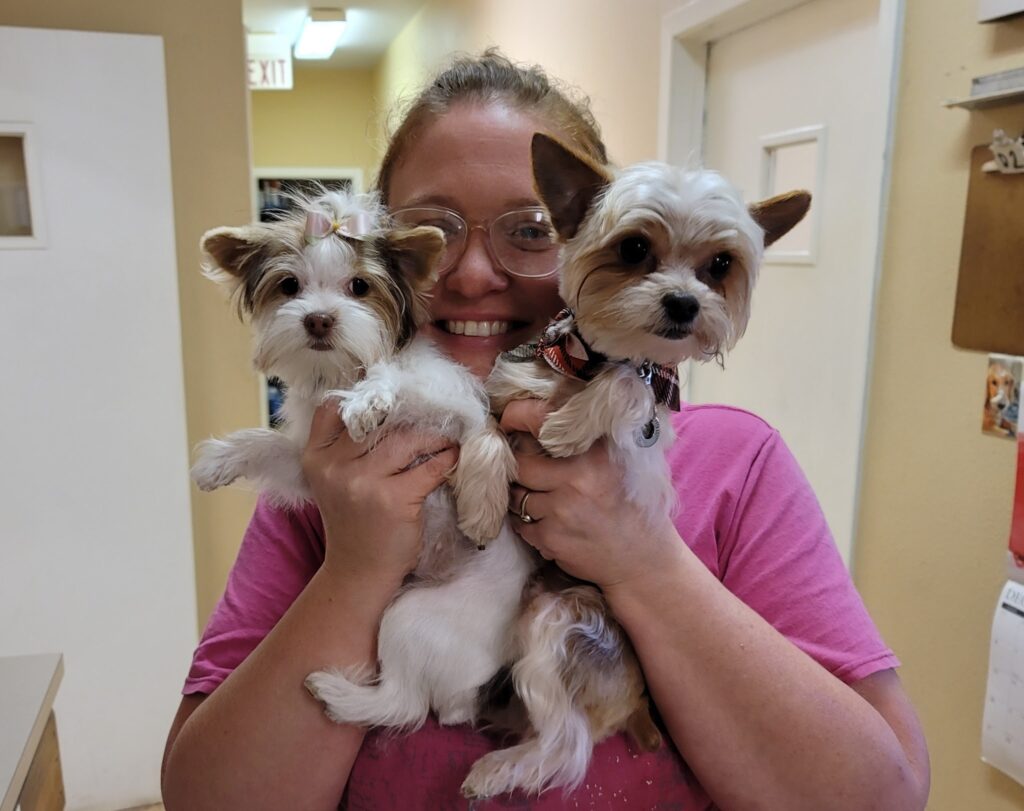 Katy's Grooming | Local Vet Clinics